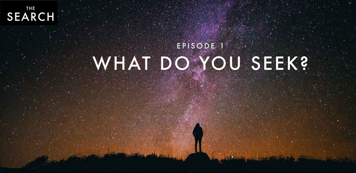 Councils and committees for St. Aloysius and Our Lady of Lourdes