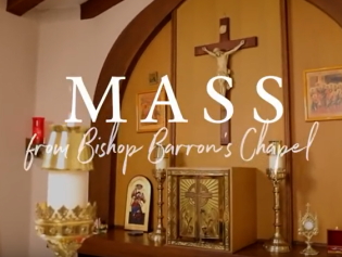 Mass Times For Saint Aloysius Catholic Church